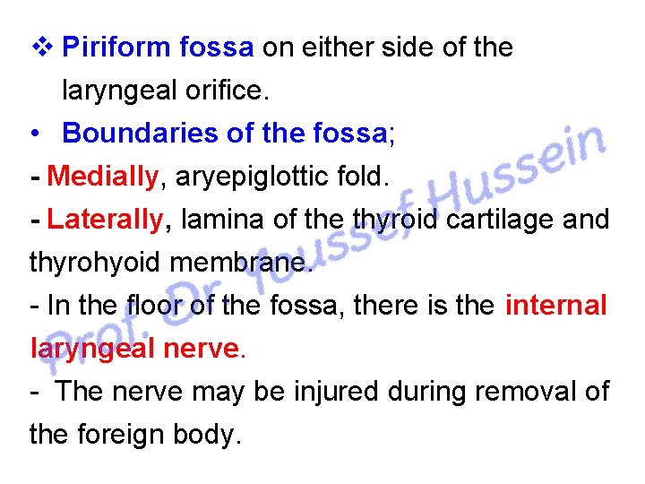 Pharynx Beginning Base of the skull Nose Mouth