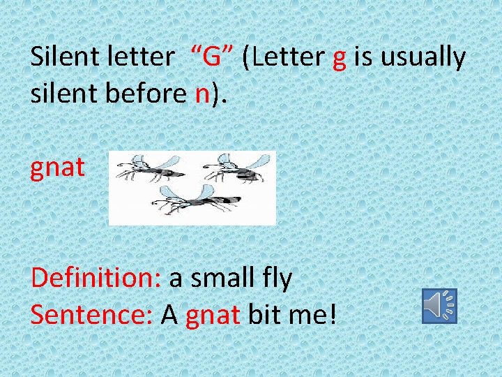 Semester 2 week 6 7 Spelling words Silent