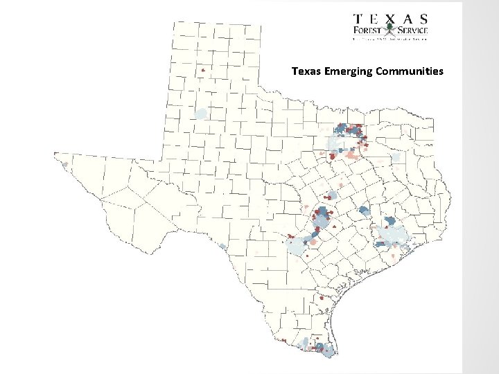 Urban Forest Sustainability Jim Rooni Texas Forest Service
