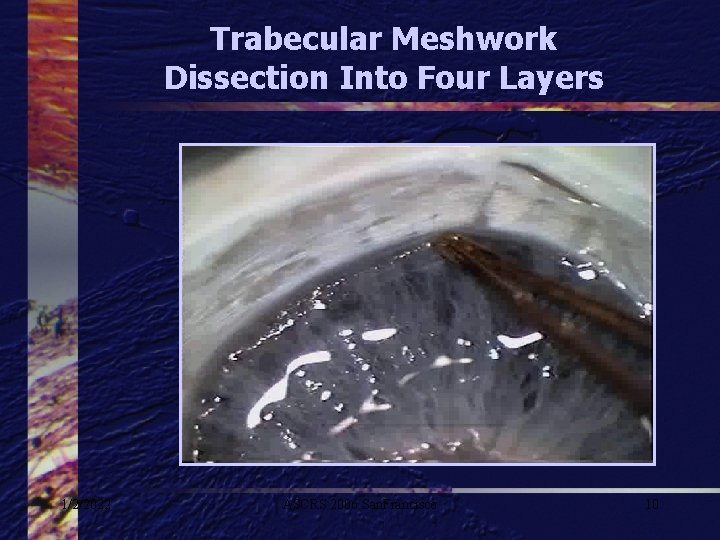 Samara State Medical University Regional Ophthalmic Hospital Samara