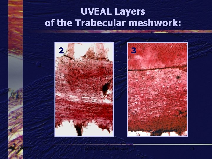 Samara State Medical University Regional Ophthalmic Hospital Samara