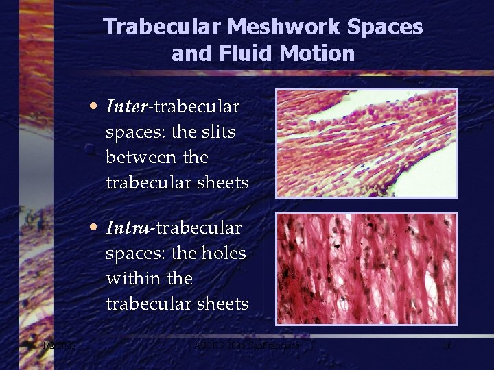 Samara State Medical University Regional Ophthalmic Hospital Samara