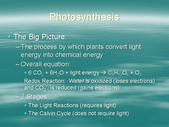 Photosynthesis Review Photosynthesis An Overview Photosynthesis is the
