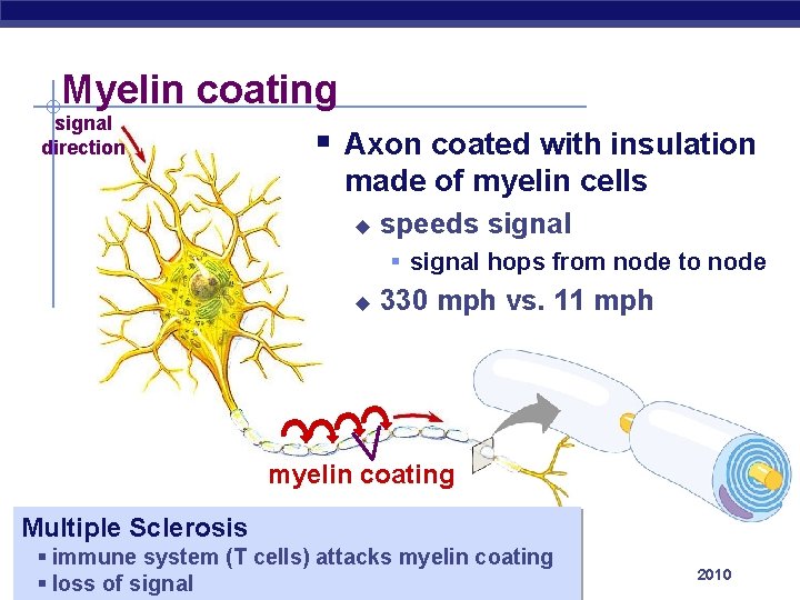 Nervous System Chapter 35 AP Biology 2010 Why