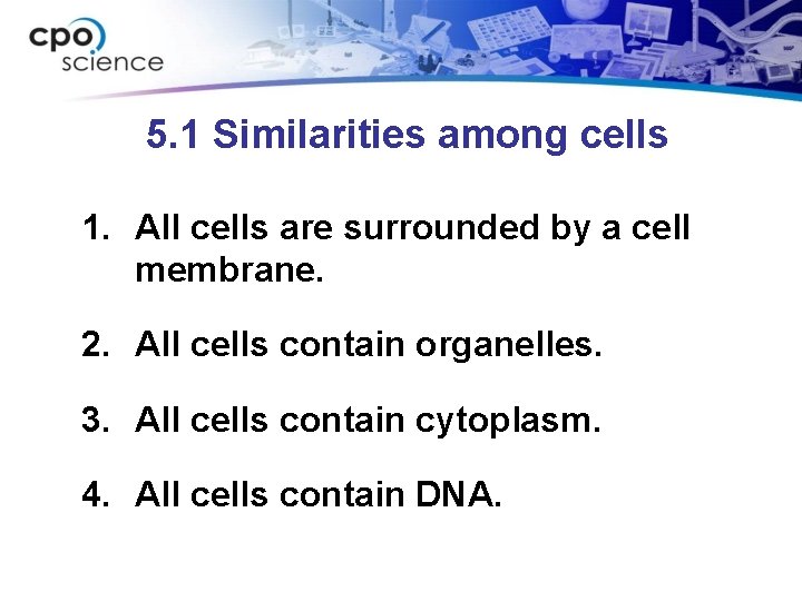 Cell Biology Chapter Four Chemistry and Physics Connections