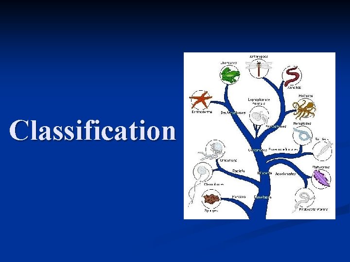 Classification NonScience Example of Classification n The item