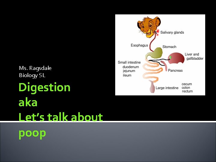 Ms Ragsdale Biology SL Digestion aka Lets talk