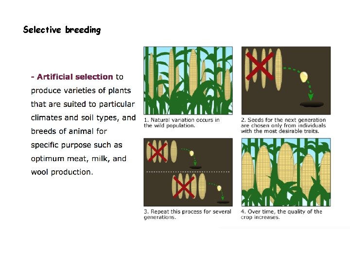 Tasks 1 Draw a table or make notes