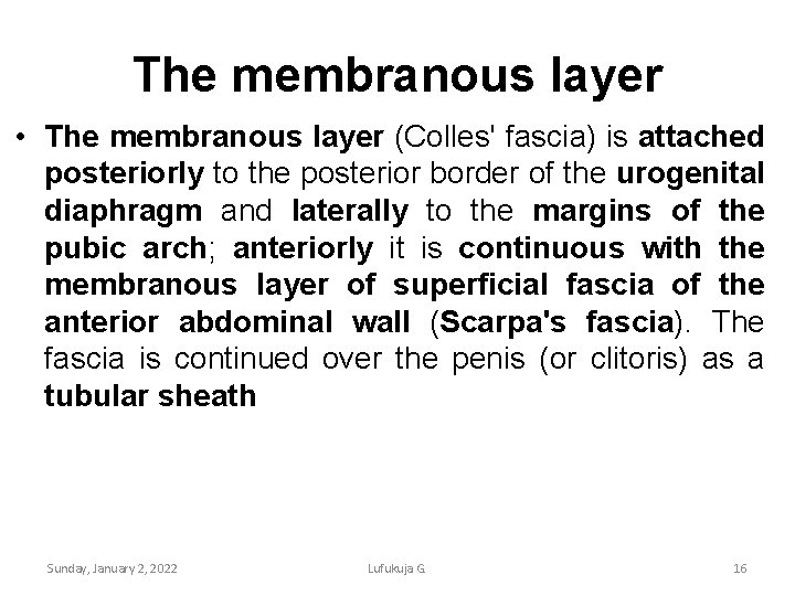 UROGENITAL TRIANGLE Urogenital triangle The urogenital triangle makes