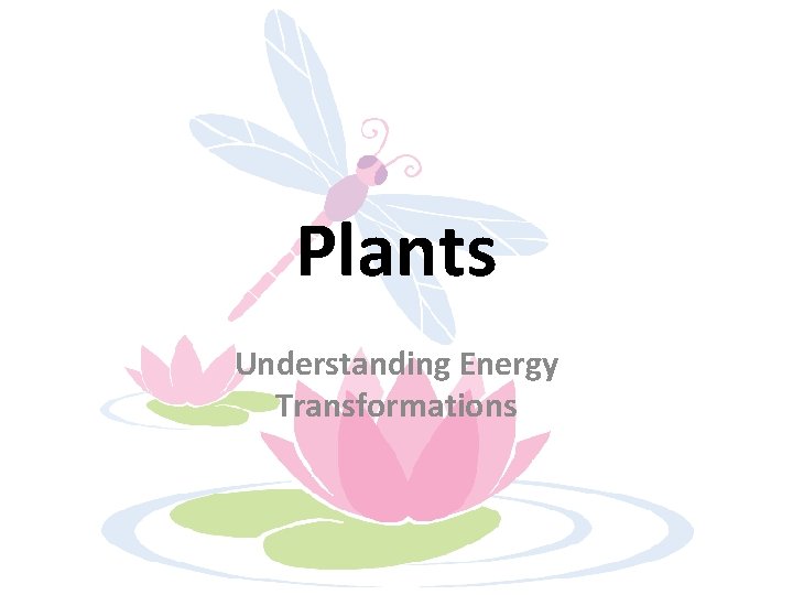 Plants Understanding Energy Transformations Plant Characteristics What are