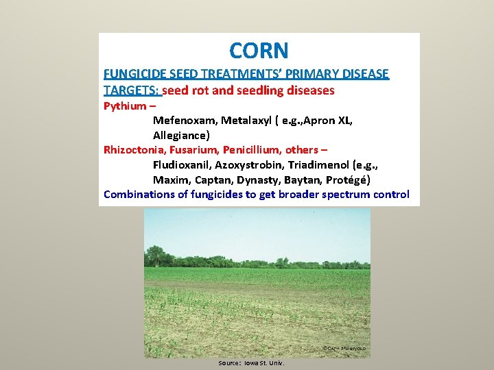 Seed Treatments on Corn Hybrids Tested in OVTs