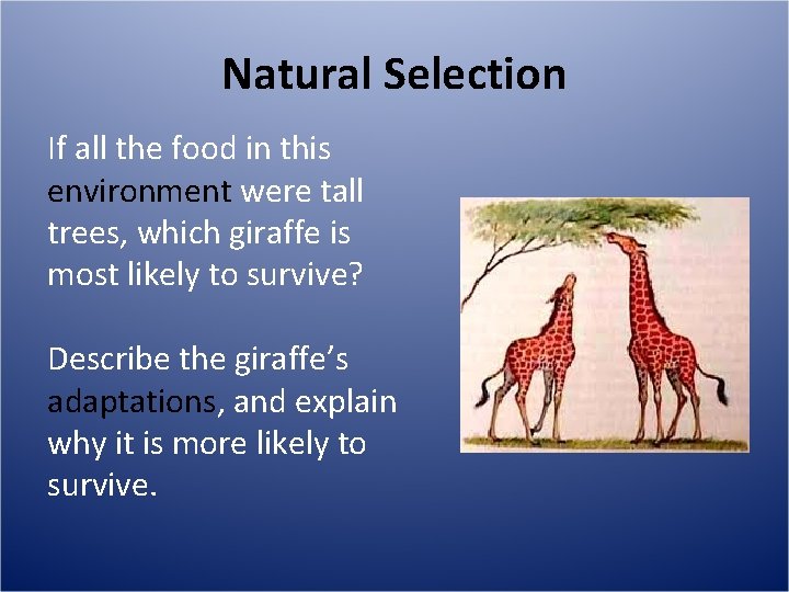 Natural Selection 1515 Catalyst Pick 2 interesting birds