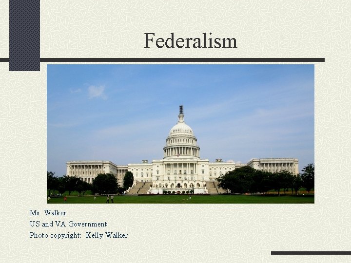 Federalism Ms Walker US and VA Government Photo