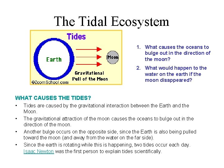 The Tidal Ecosystem 1 What causes the oceans