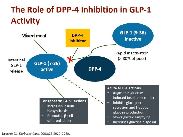 DPP 4 inhibitor drugs A Amouzegar MD Research