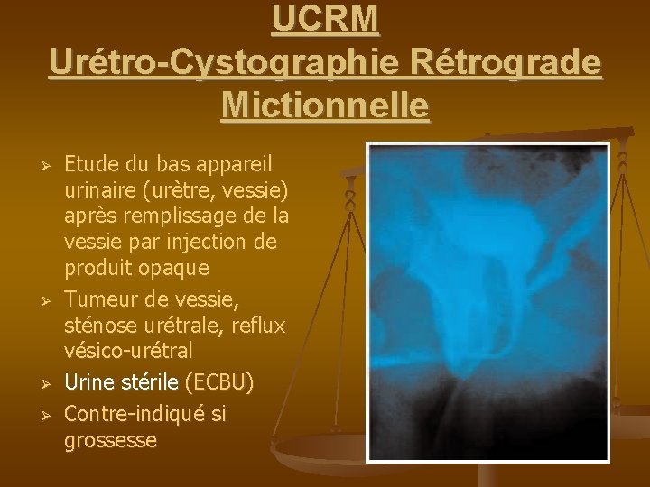 UROLOGIENEPHROLOGIE EXAMENS COMPLEMENTAIRES EXAMENS RADIOLOGIQUES AUSP ...