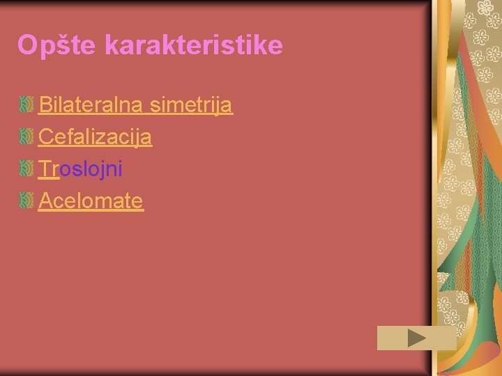 Phylum Platyhelminthes Pljosnati crvi Opte karakteristike Bilateralna ...