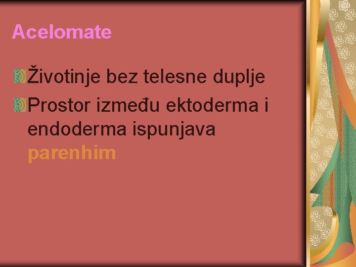 Phylum Platyhelminthes Pljosnati crvi Opte karakteristike Bilateralna ...