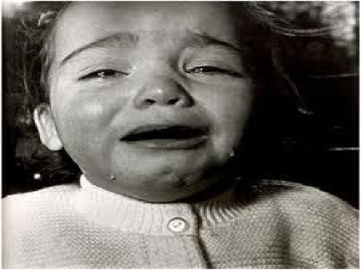 The Penobscot Tribe The Corn Mother Tribal Origins