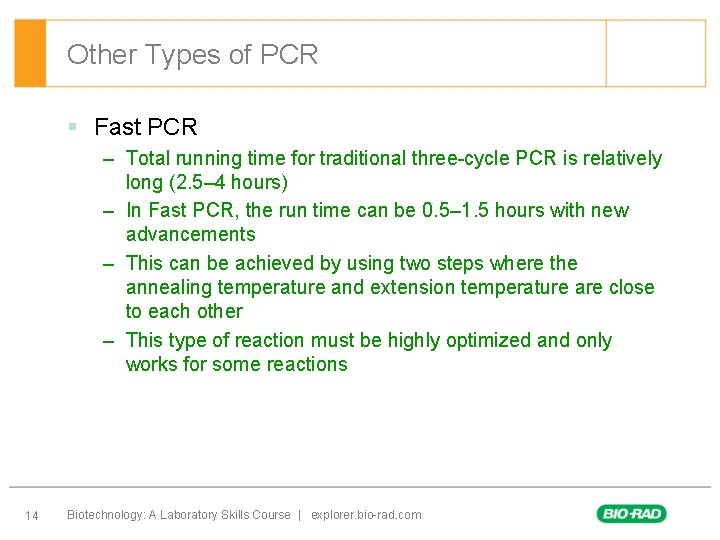 The Polymerase Chain Reaction Chapter 6 Background Invention