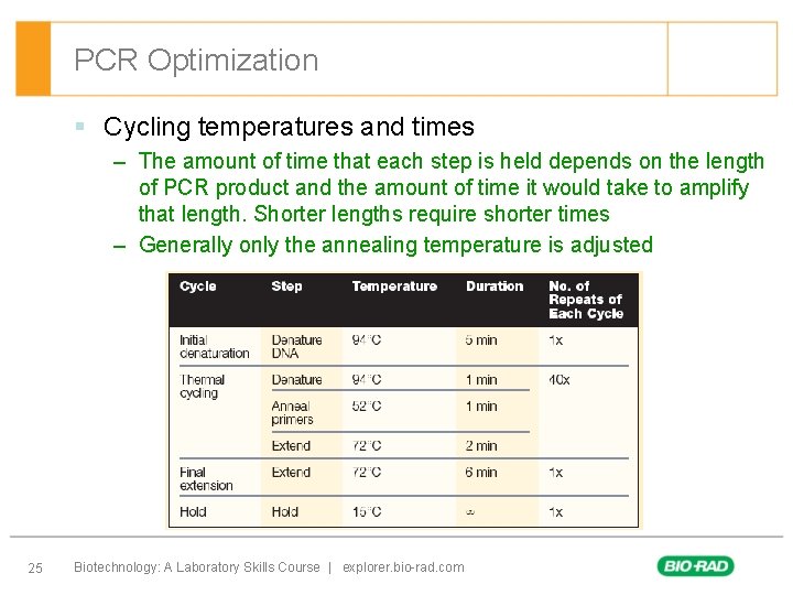 The Polymerase Chain Reaction Chapter 6 Background Invention