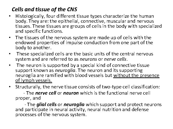 Nervous System Introductory considerations The human body architecture