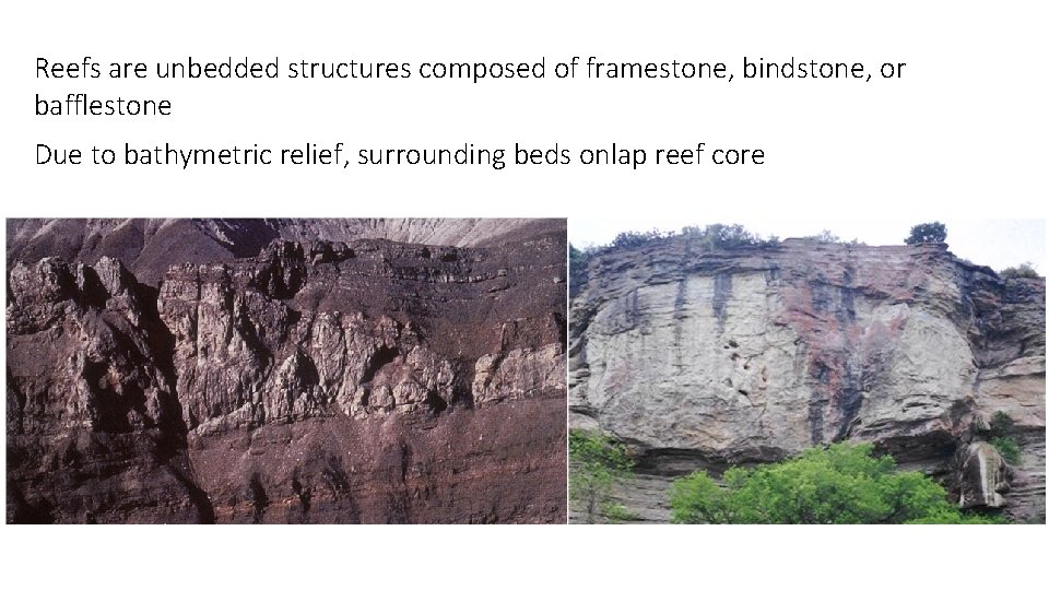 Reef Carbonates Definition of a reef 1 Rigid