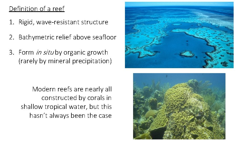 Reef Carbonates Definition of a reef 1 Rigid