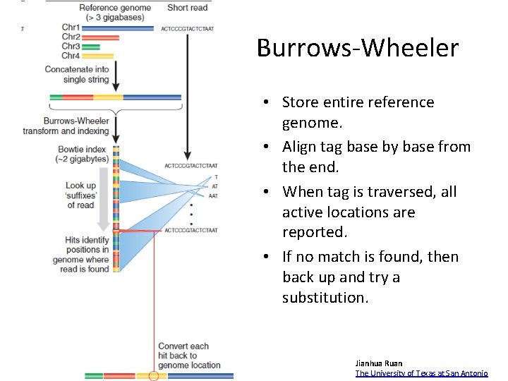 Previous Lecture NextGeneration DNA Sequencing Technology This Lecture