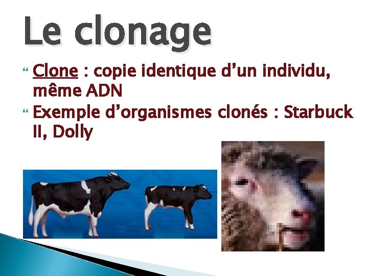 ADN et les biotechnologies 1 Transgnse 2 Clonage