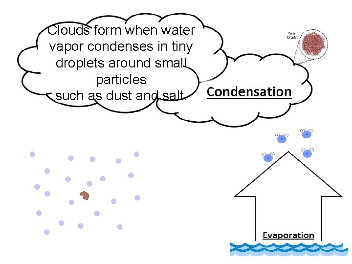 LEARNING TARGET WATER CYCLE How is water cycled
