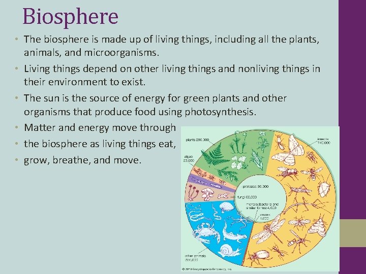 Earth Systems Earth is a system The boundary