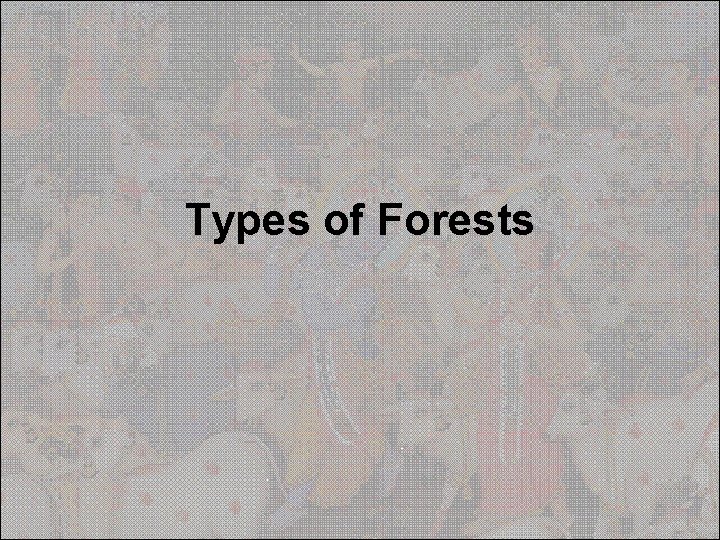 Vedic Ecology Based on the book Vedic Ecology