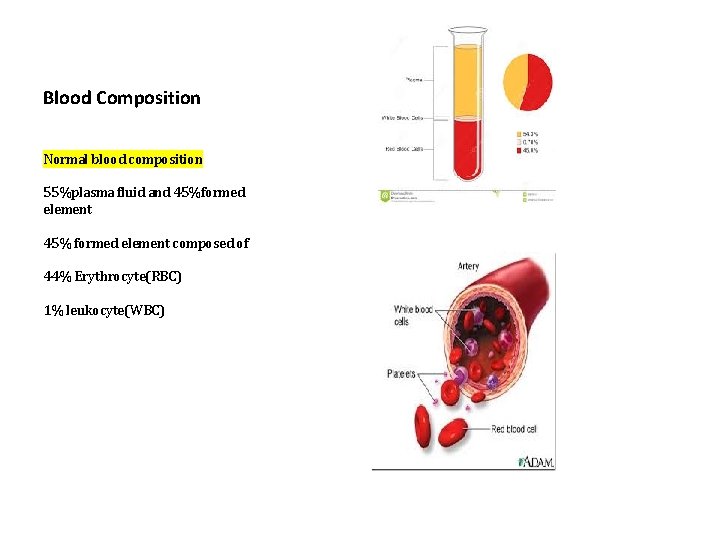 Cartever Dimpal Alexandria Blood Composition Normal blood composition
