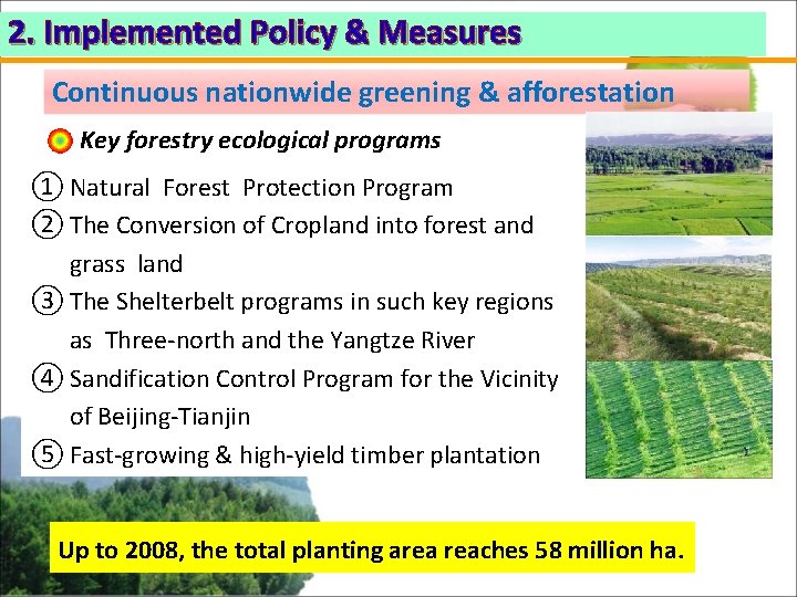TEN COUNTRIES WITH LARGEST AREA OF AFFORESTATION 2005
