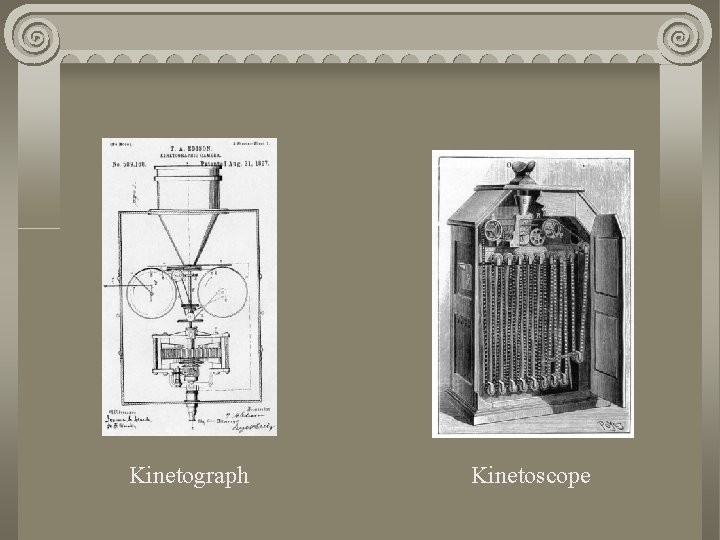 Kinesiology The Study of Movement From Greek roots