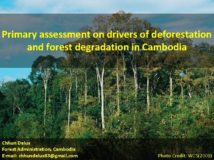 Primary assessment on drivers of deforestation and forest