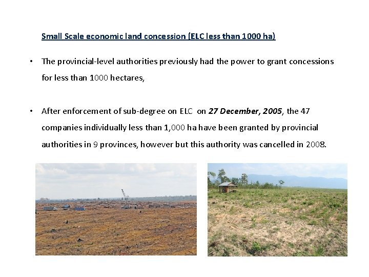 Primary assessment on drivers of deforestation and forest