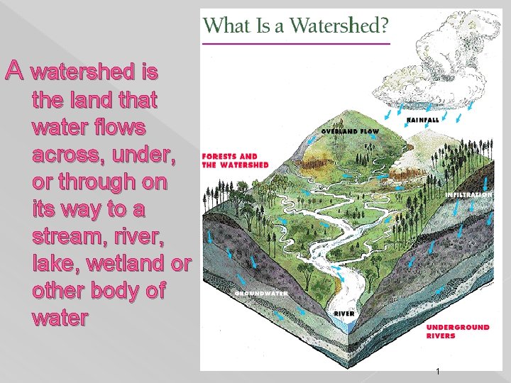 A watershed is the land that water flows