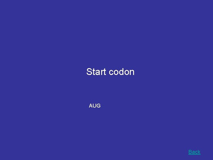 Gene Quick Expression Biotechnology Hitters Transcription Operon ...