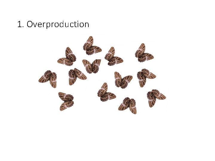 Evolution by Natural Selection What weve learned so