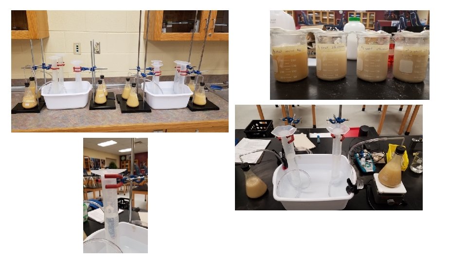 Ethanol Corn Mash and Distillation Presentation for Middle