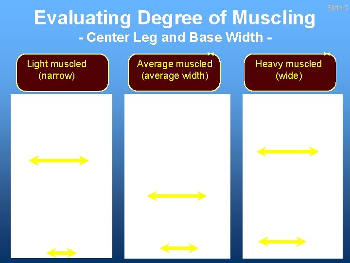 Judging Sheep Developed by Richard Coffey Extension Swine