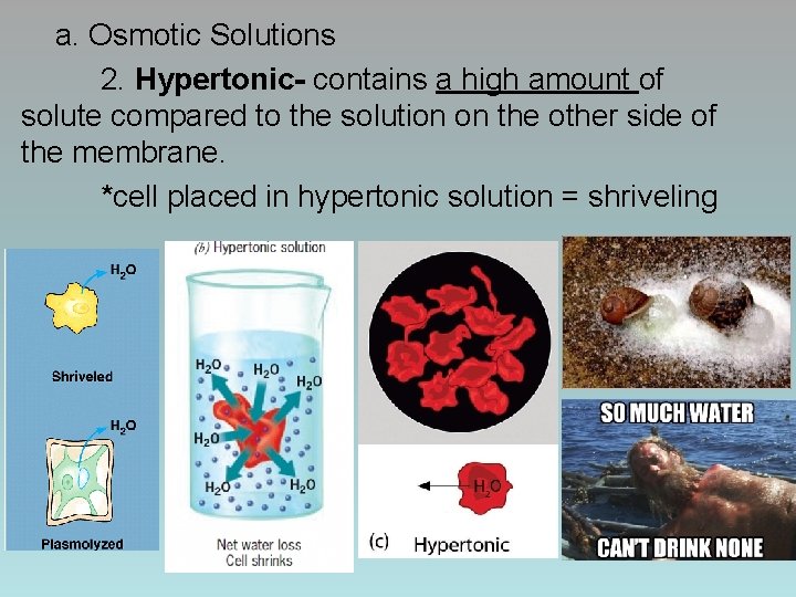 Essential Question How does a cell both protect