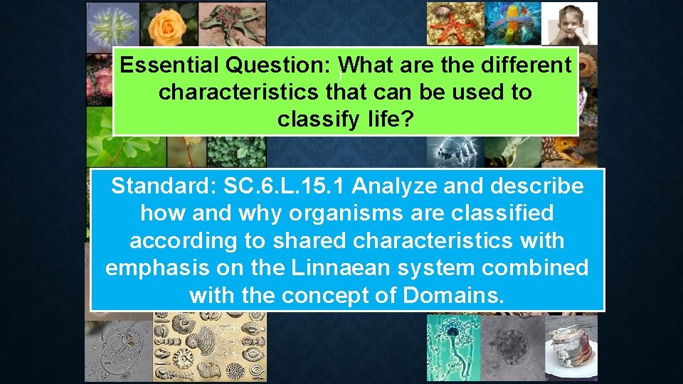 FCIM CLASSIFICATION REVIEW PART 2 8 th Grade