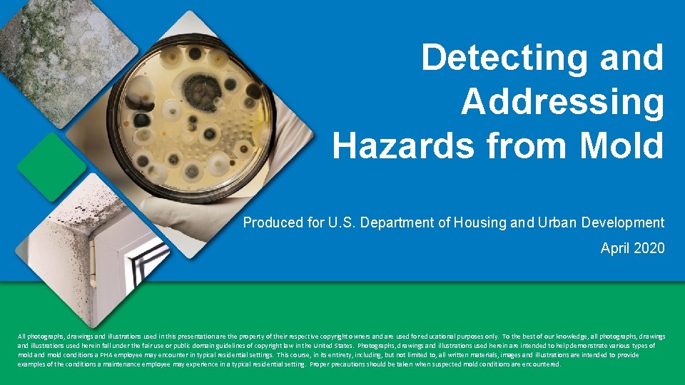Detecting and Addressing Hazards from Mold Produced for