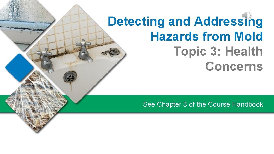Detecting and Addressing Hazards from Mold Produced for