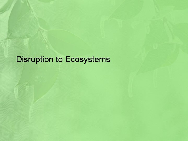Disruption to Ecosystems Energy And Nutrients Energy and