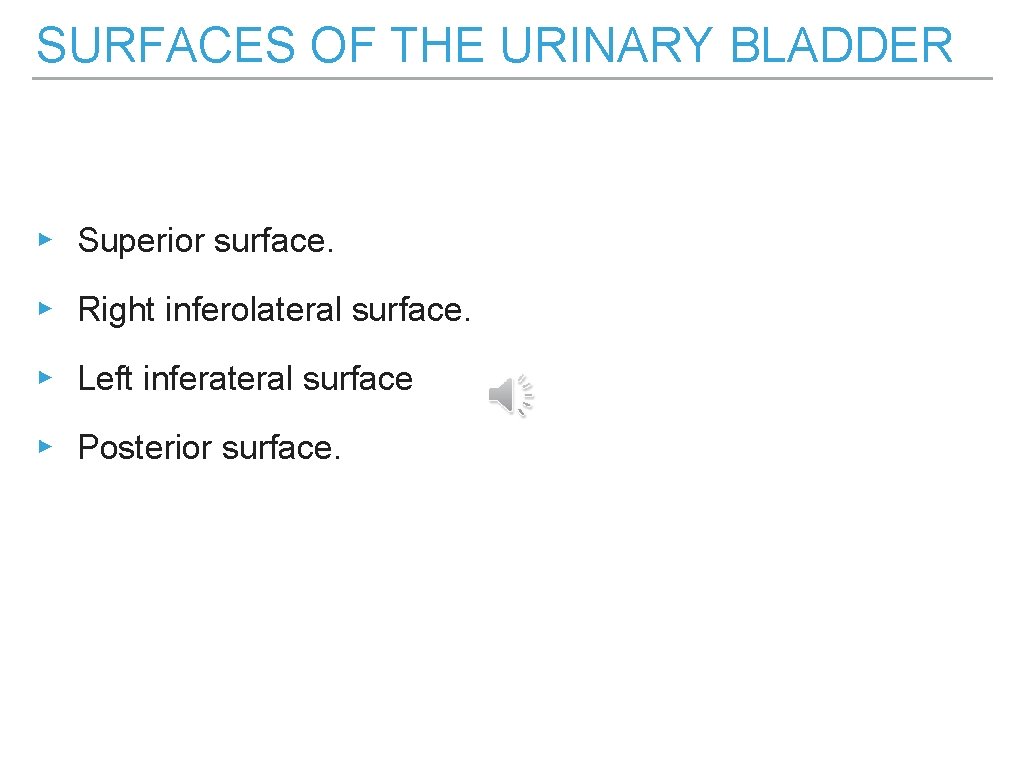 Urinary bladder nd 2 year Mbbsmc Dr muhammad