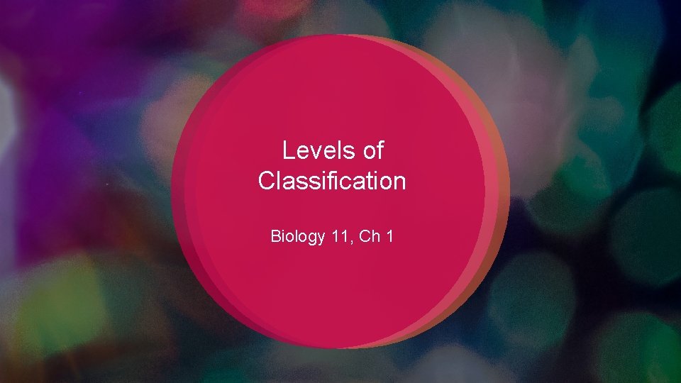 Levels of Classification Biology 11 Ch 1 The